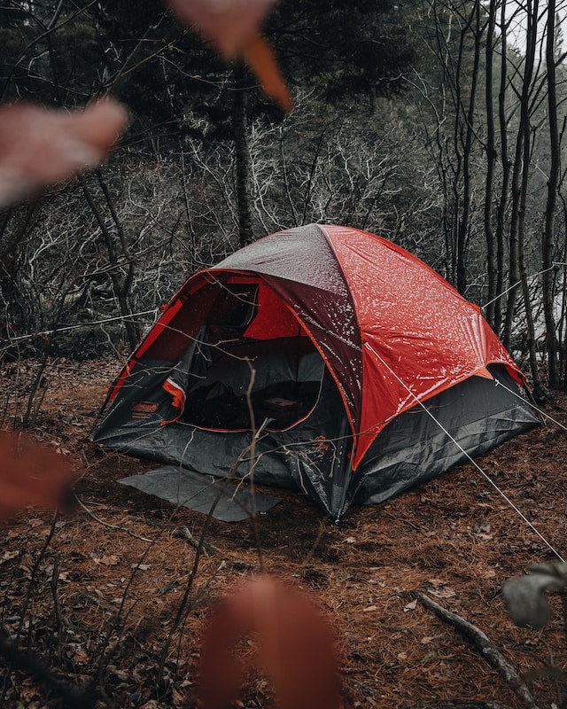 Camping Website | @Pulse